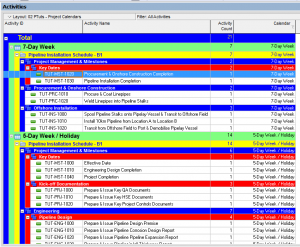 10 Must-Have Primavera P6 Layouts (and how to build them)