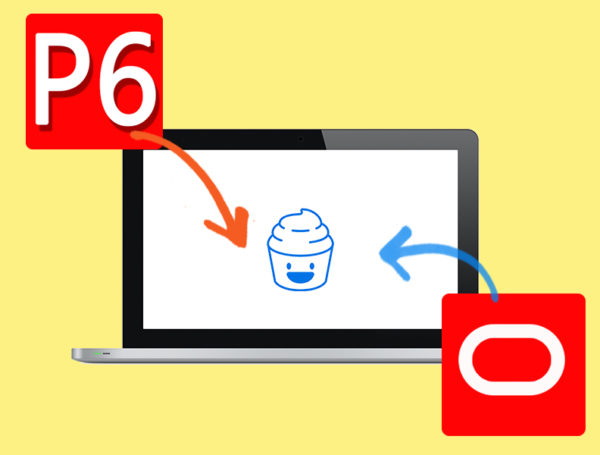 Install 2 Versions of Primavera P6 On the Same PC - NEW In Version 18