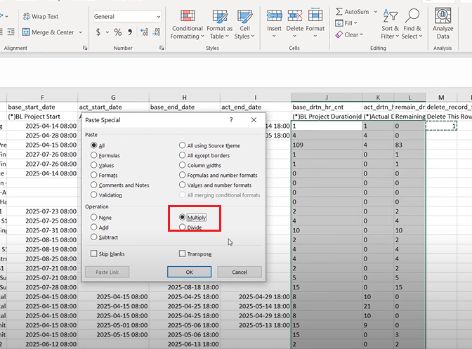 P6 Export To Excel Number Formatting Secret