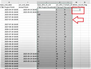 P6 Export to Excel: Number Formatting Secret