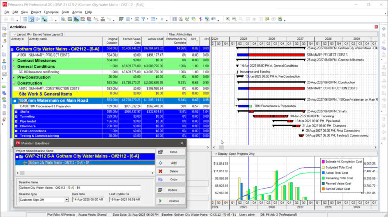 Advanced P6 Progressing On-Demand | Plan Academy