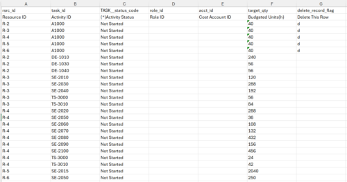 Importing Data from Excel to Primavera P6 Effortlessly