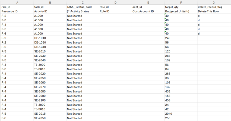 Importing Data from Excel to Primavera P6 Effortlessly
