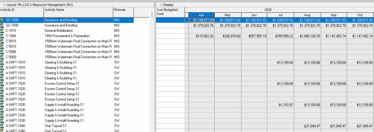 Power BI Dynamic Dashboards: With Primavera P6 Integration