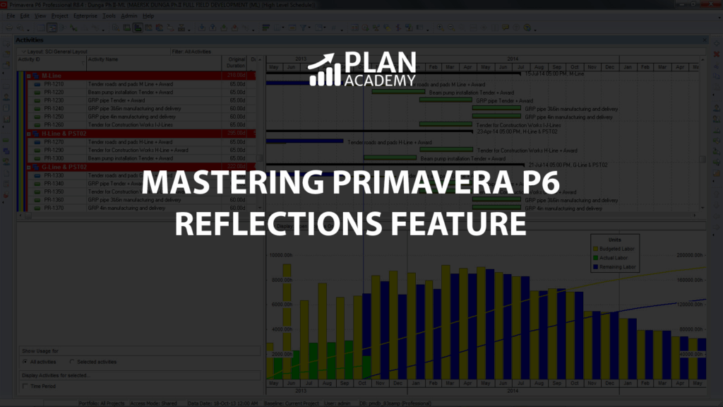 Mastering the Primavera P6 Reflection Project Feature