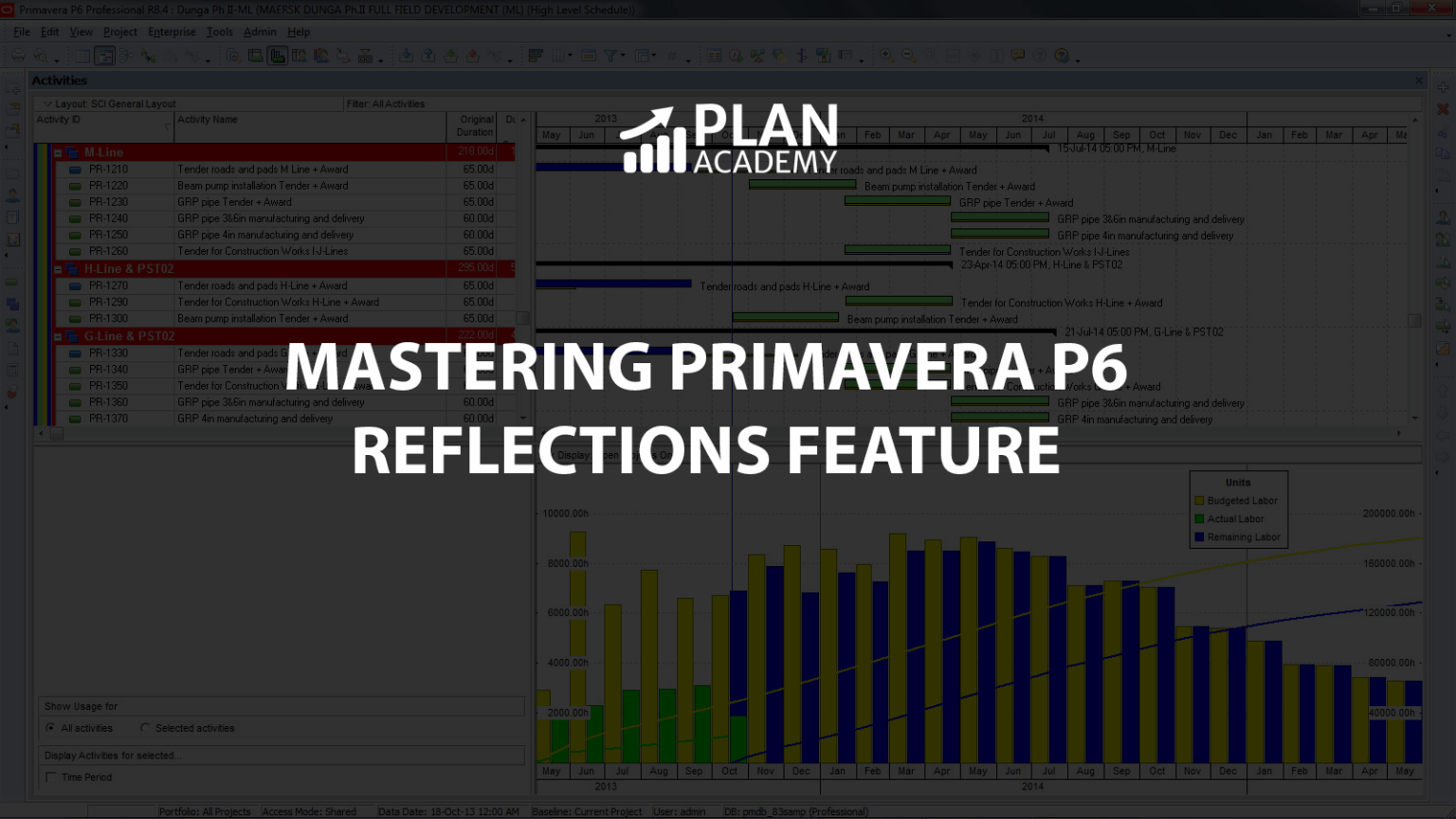 Free Primavera P6 Tutorials & Articles